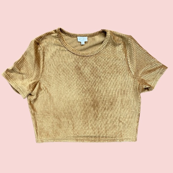 Tops | Gold Ribbed Velvetlike Crop Top | Poshmark